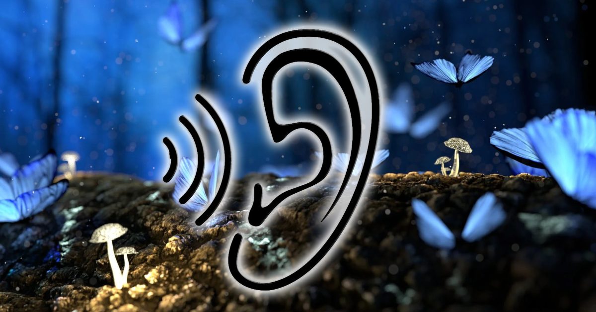 "What can we learn from insect hearing?": Öffentliches Bionik-Seminar ...